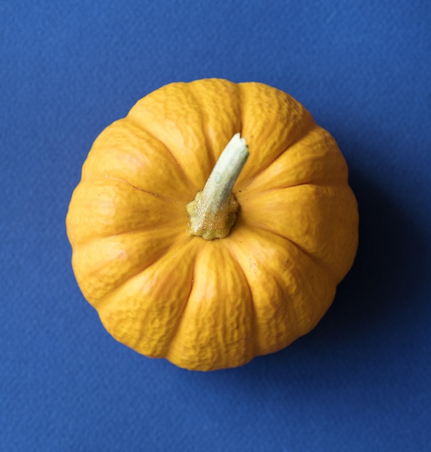 Croissance Citrouille Automne · Photo gratuite sur Pixabay