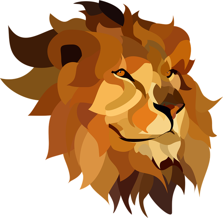 Download Lion, Nature, Feline. Royalty-Free Vector Graphic - Pixabay