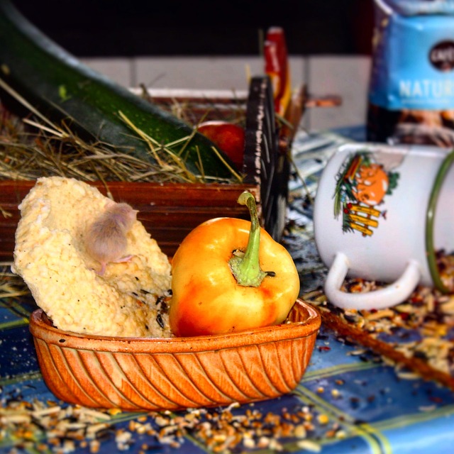 Aliments Fruit Bon Appétit - Photo gratuite sur Pixabay - Pixabay