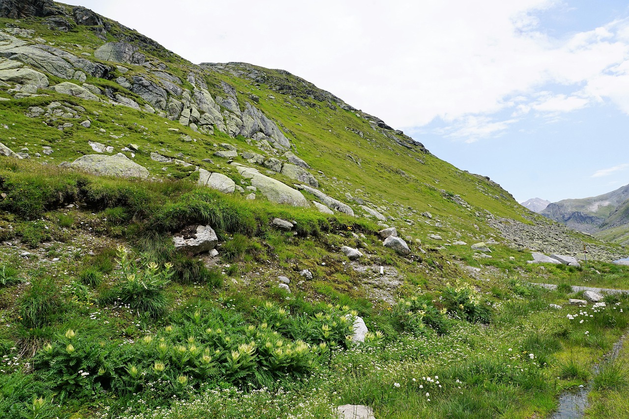 Nature Landscape Grass - Free photo on Pixabay