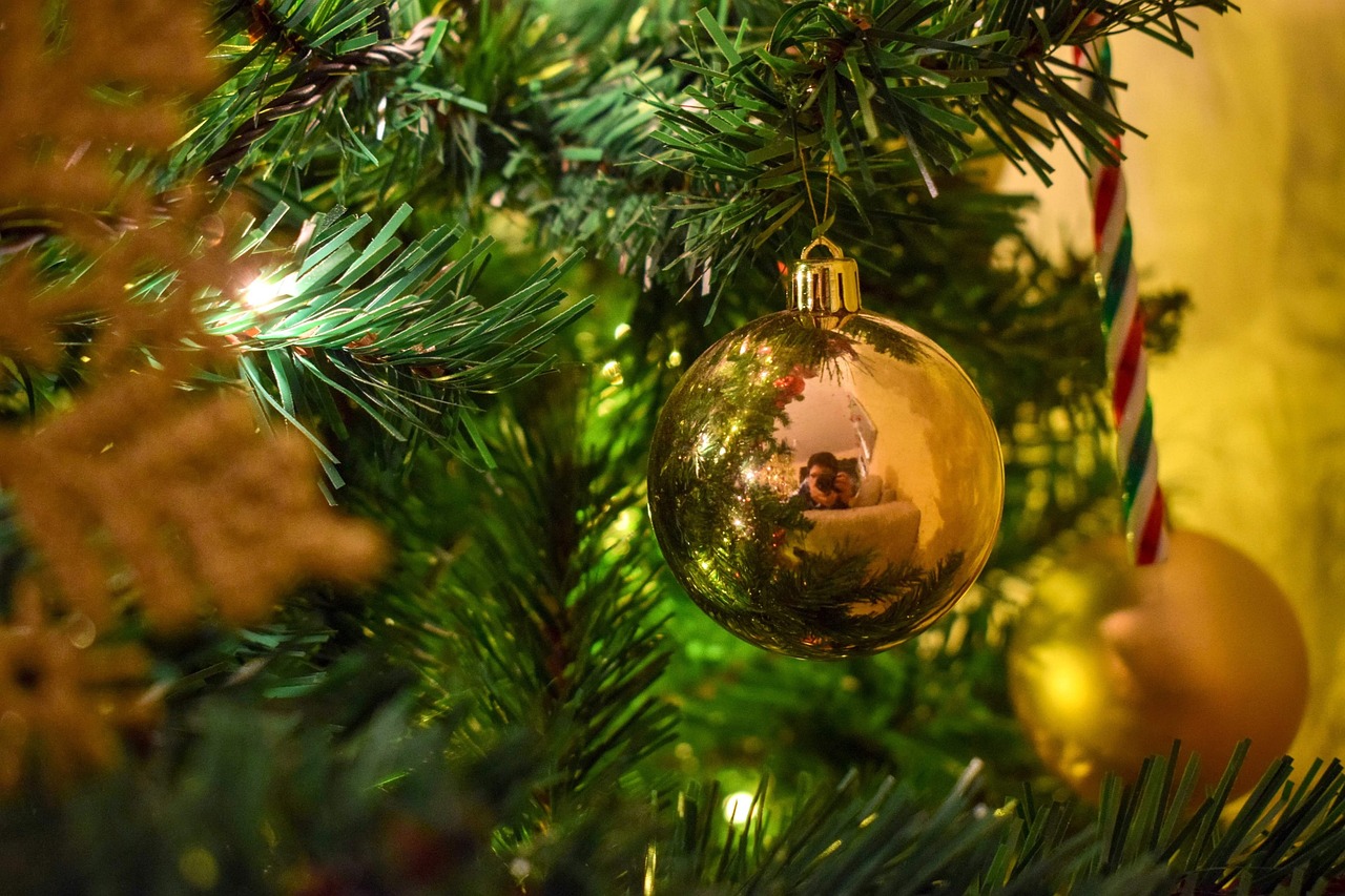 Navidad Pino Árbol - Foto gratis en Pixabay