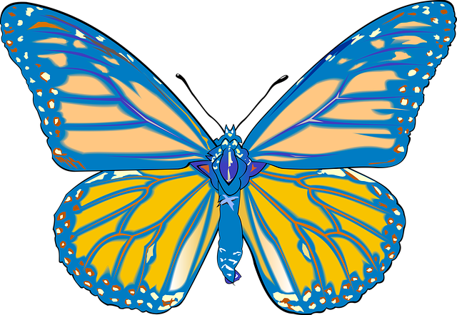 30,000+ Free Mariposa Vectores & Butterfly Images - Pixabay