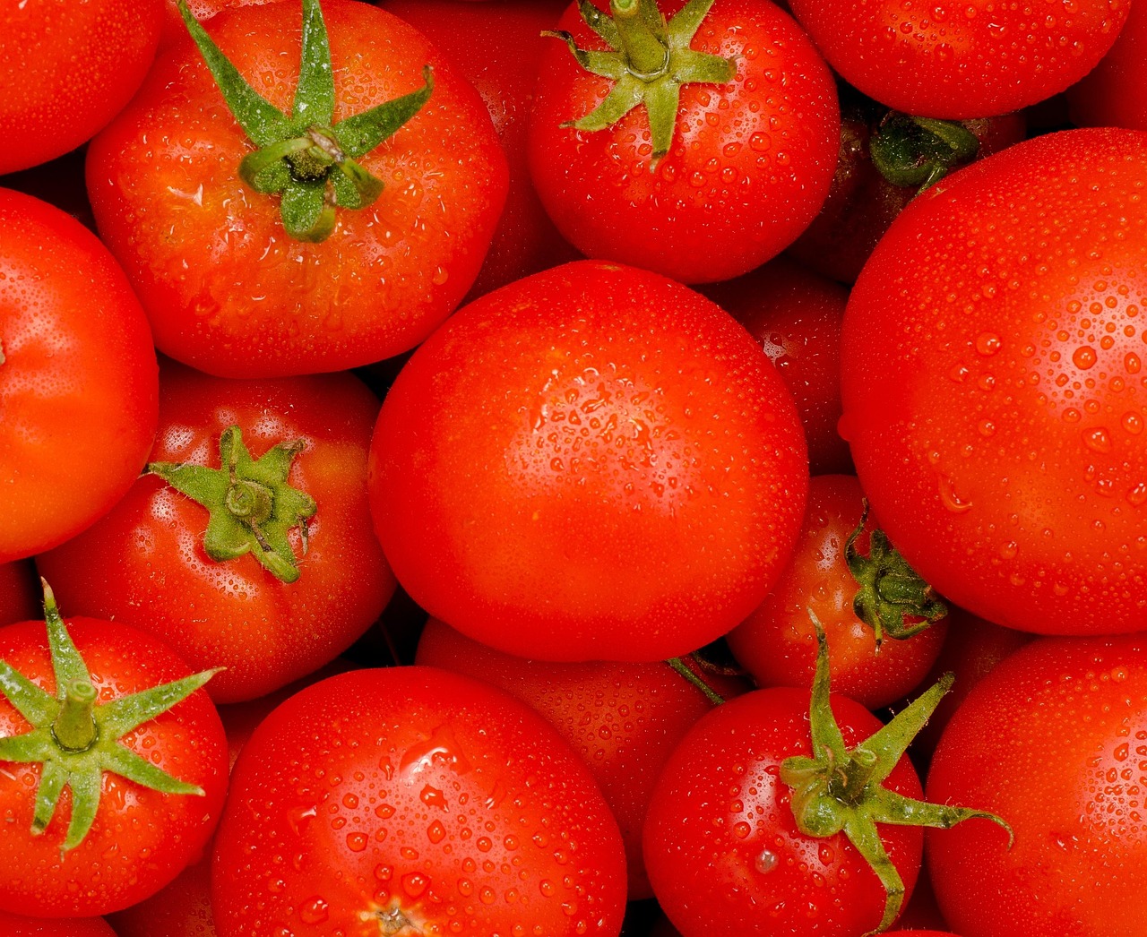 Food Tomato Fruit - Free photo on Pixabay - Pixabay