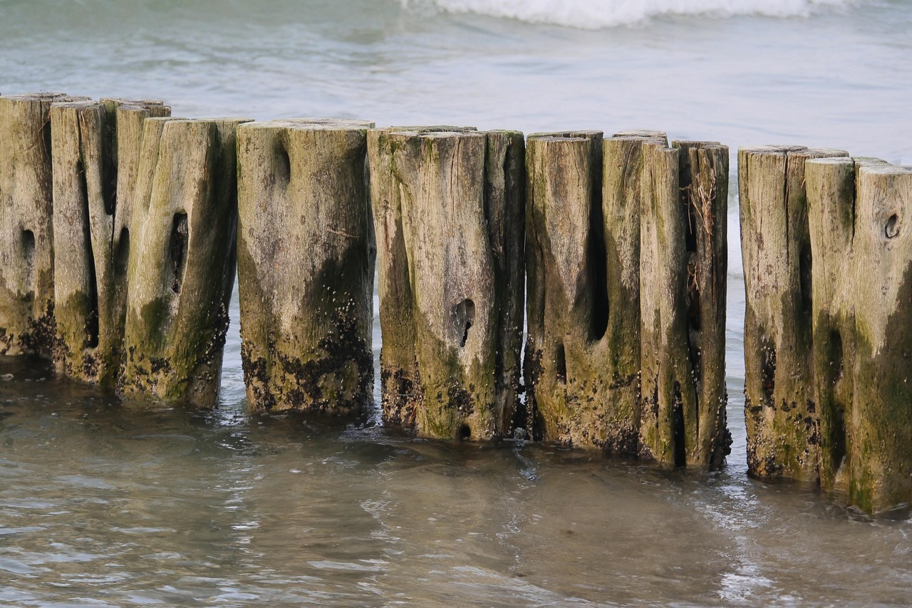 Breakwater Groyne Baltic Sea Beach - Free photo on Pixabay