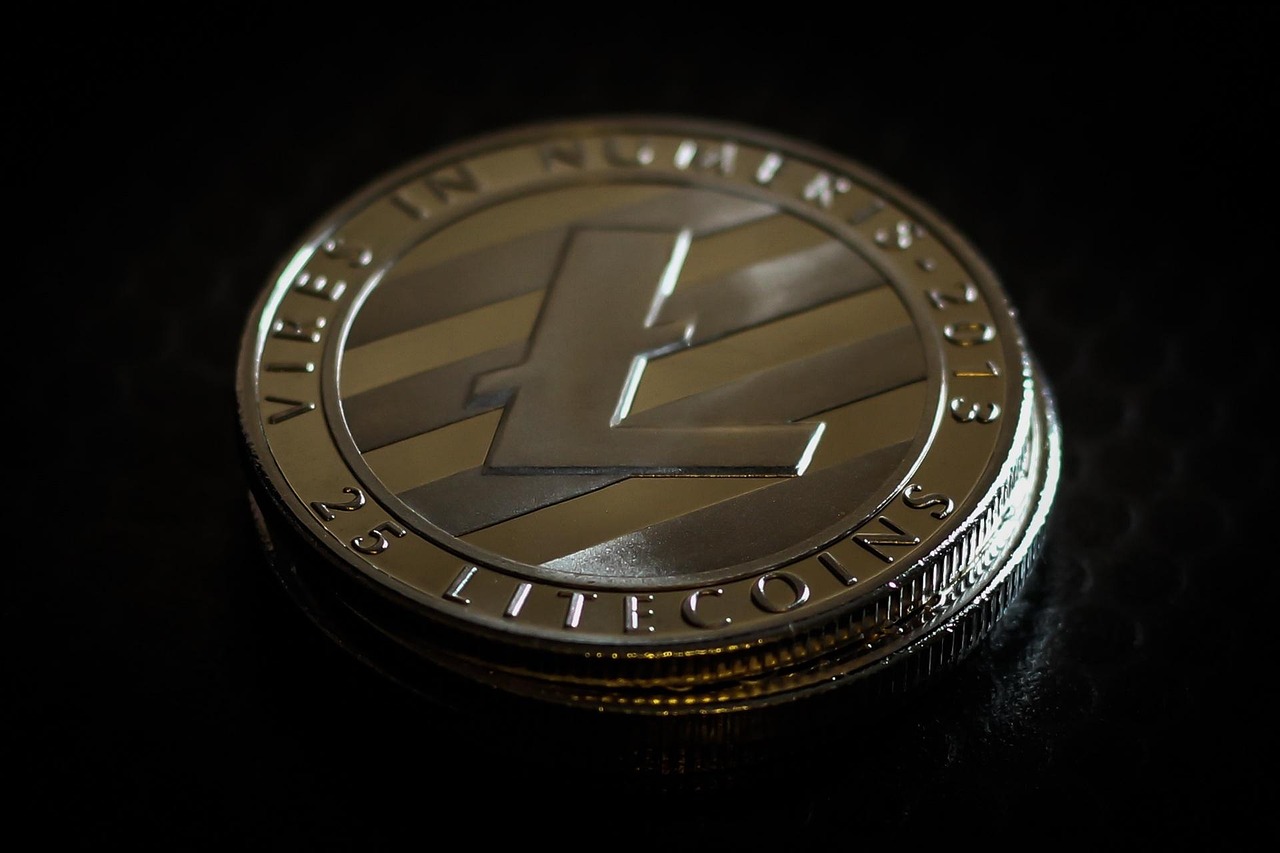 Litecoin Entreprise La Finance - Photo gratuite sur Pixabay