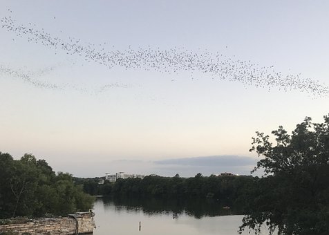 20+ Free Lake Austin & Austin Images - Pixabay