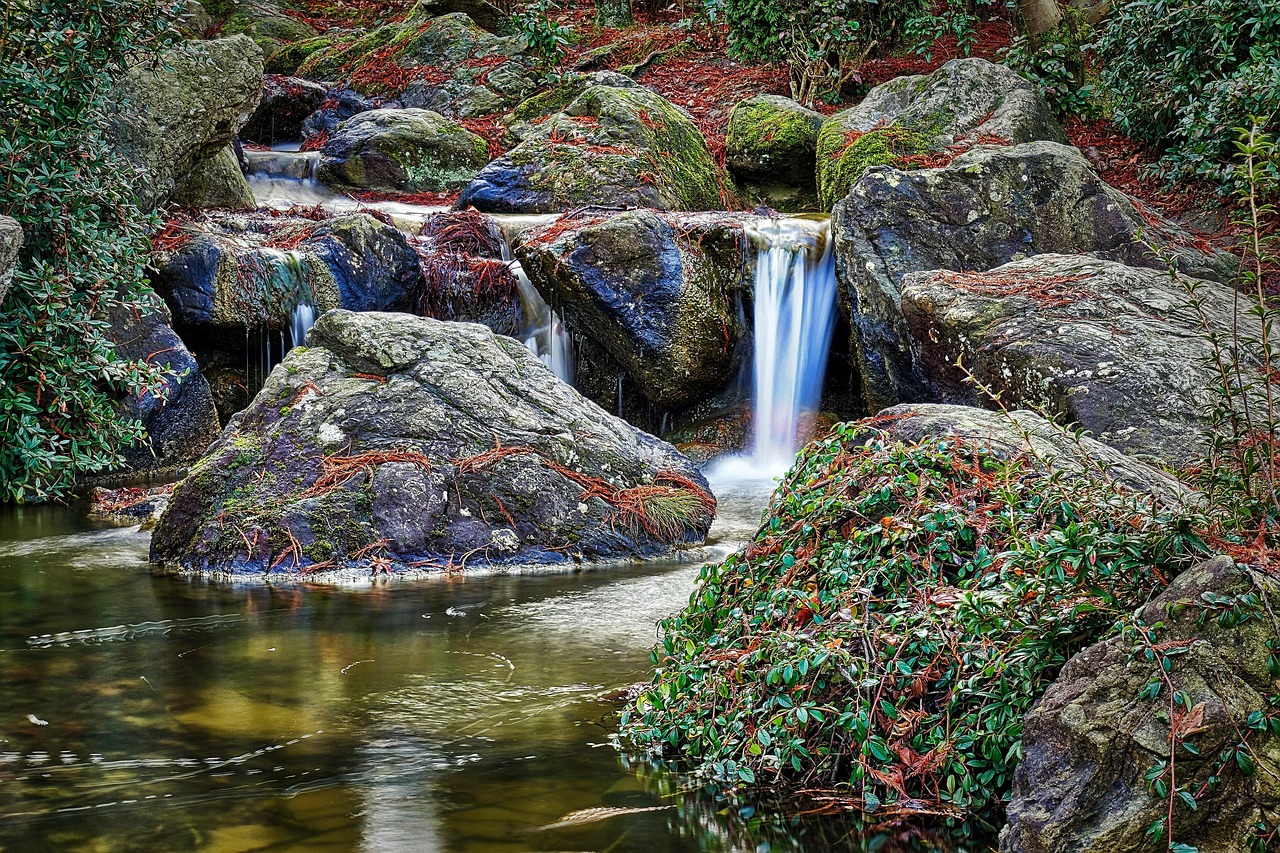Taman Jepang Bonn Perairan - Foto gratis di Pixabay - Pixabay