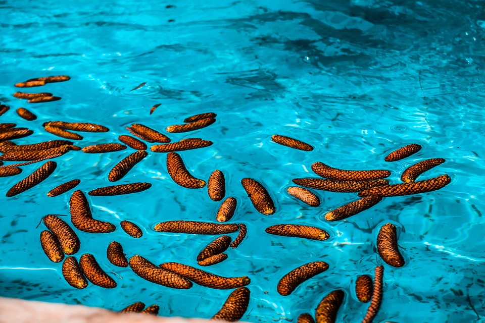 Mer Océan Corps De L'Eau - Photo gratuite sur Pixabay - Pixabay