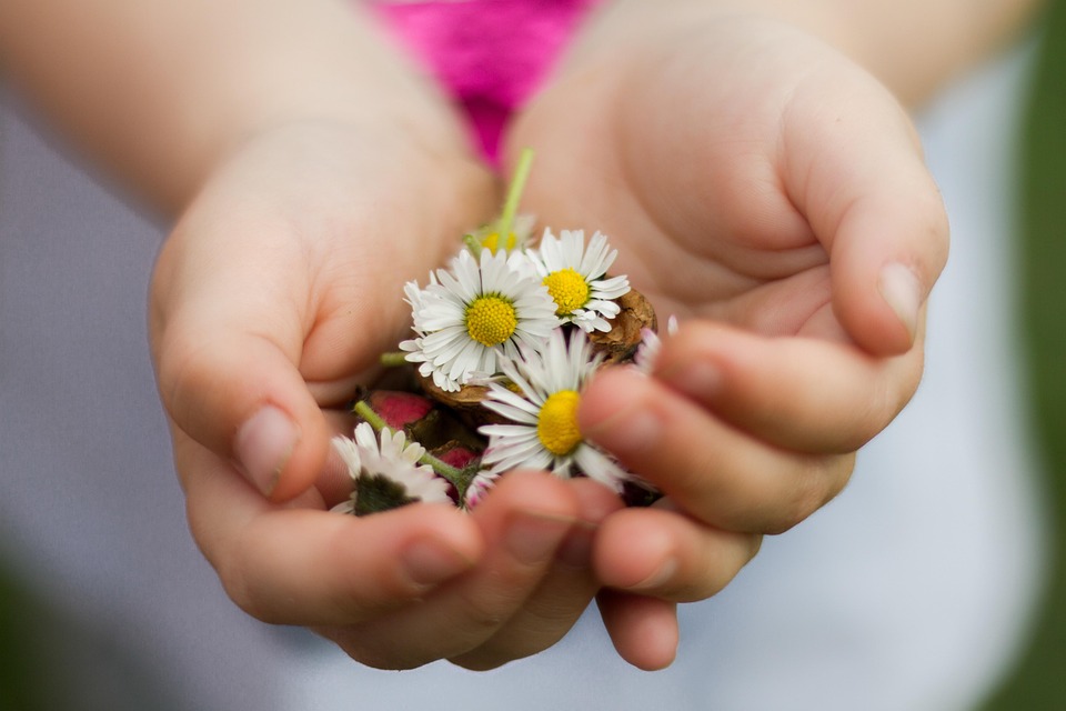 Nature Hand Small - Free photo on Pixabay - Pixabay