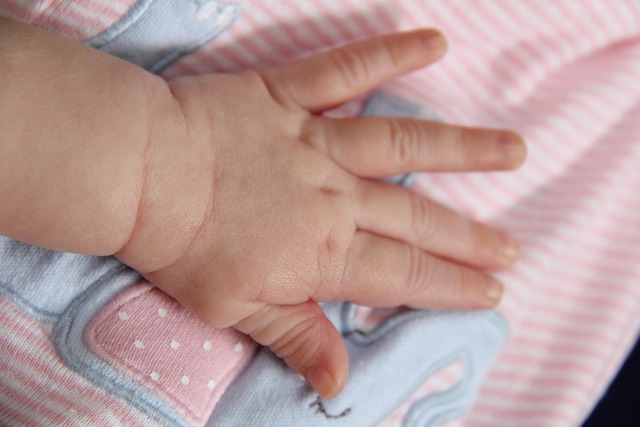 Hand Baby Human - Free photo on Pixabay - Pixabay