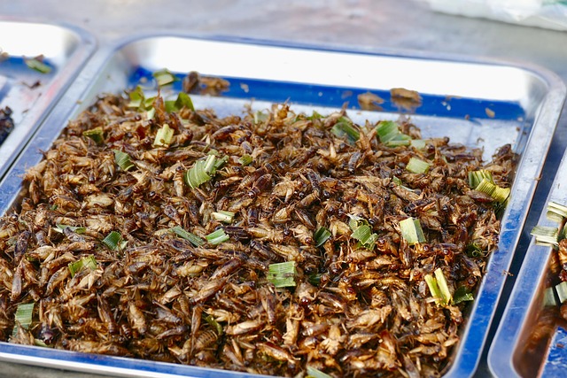 Food Insects Nourishment - Free photo on Pixabay - Pixabay
