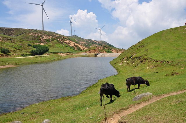 Landscape Water Farm - Free photo on Pixabay