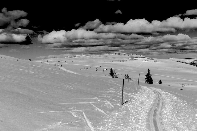 Snow Pathway Valley - Free photo on Pixabay