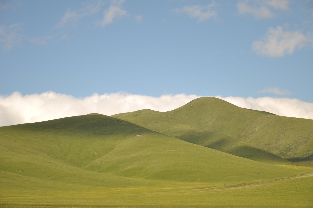 Naturaleza Paisaje Exterior - Foto gratis en Pixabay - Pixabay
