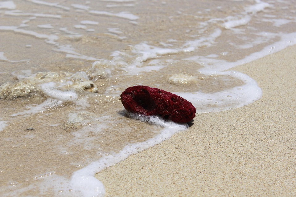 Sand Beach Body Of Water - Free photo on Pixabay - Pixabay
