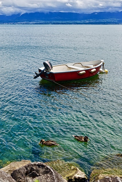 Bote Tranquilo Patos - Foto gratis en Pixabay - Pixabay