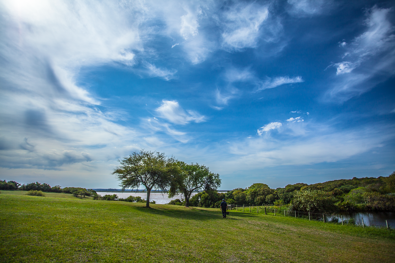 Campo Paisagem Bucólica Panorama - Foto gratuita no Pixabay