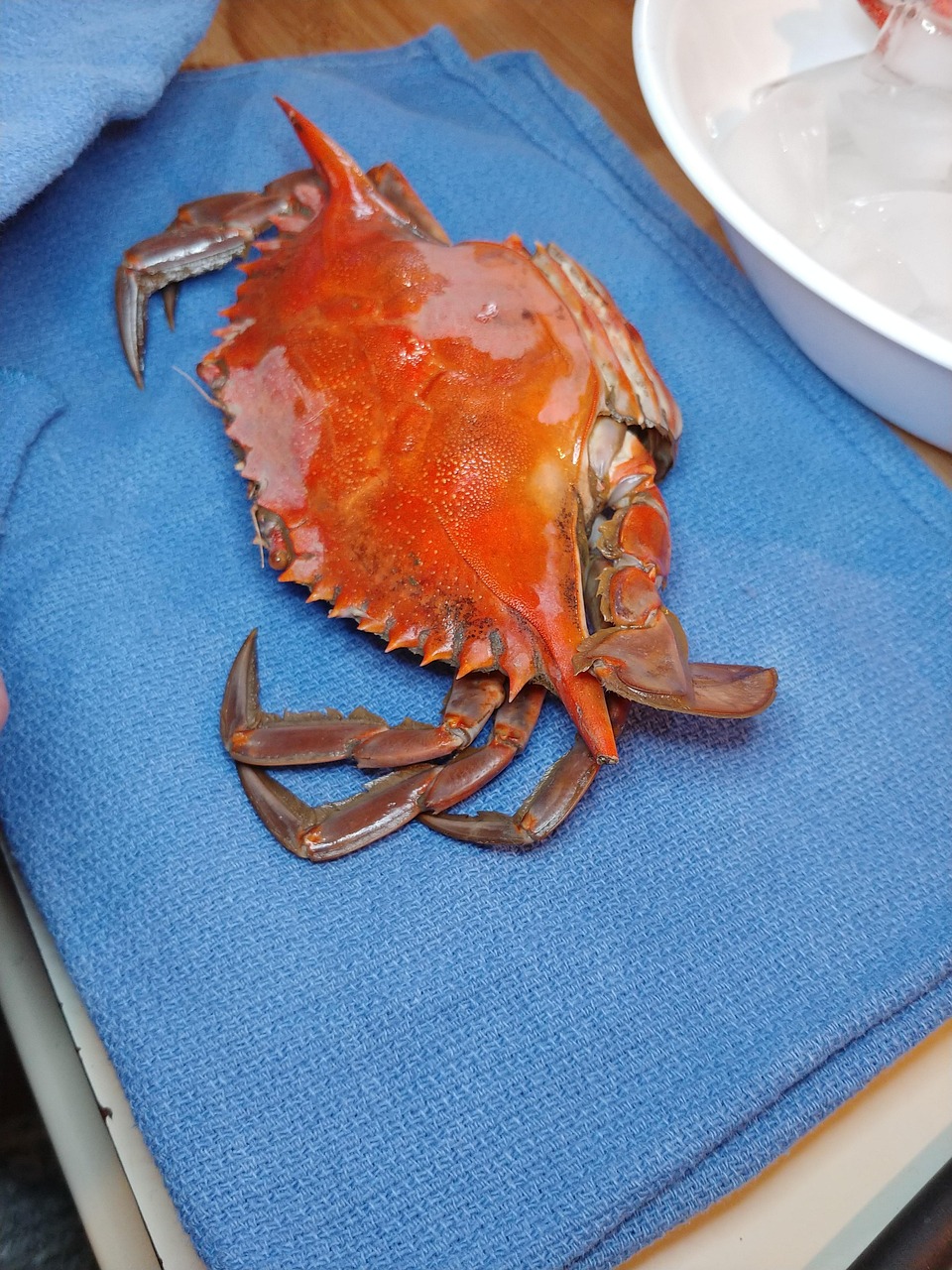 Crab Seafood Crustacean - Free photo on Pixabay - Pixabay