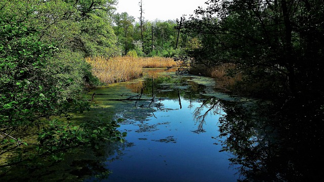 Nature Body Of Water River - Free photo on Pixabay - Pixabay