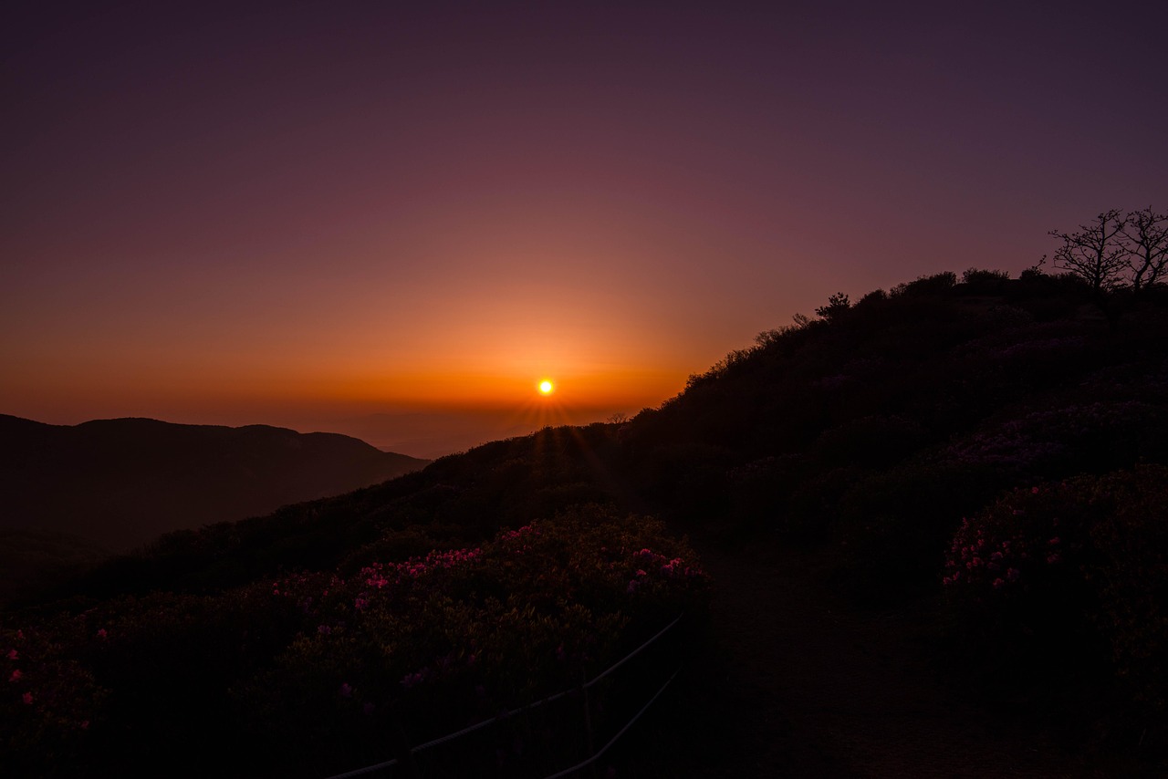 Sunset Dawn Scenery - Free photo on Pixabay