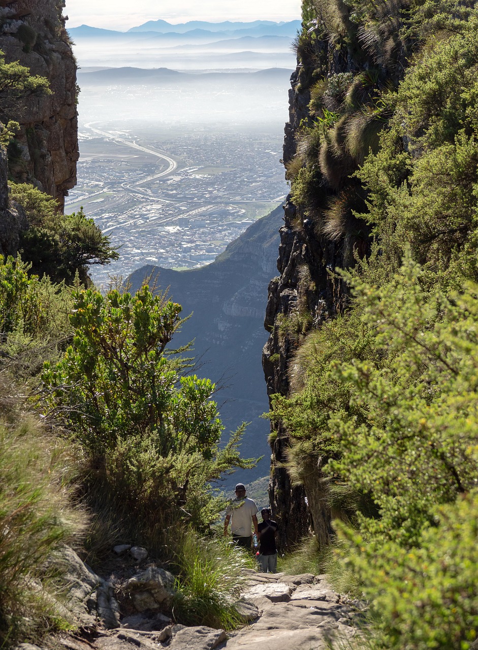 60+ Free Table Mountain View & Cape Town Images - Pixabay