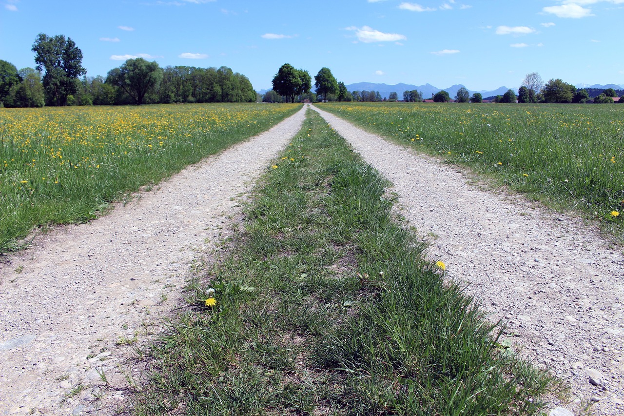 Nature Grass Road Free Photo On Pixabay Pixabay