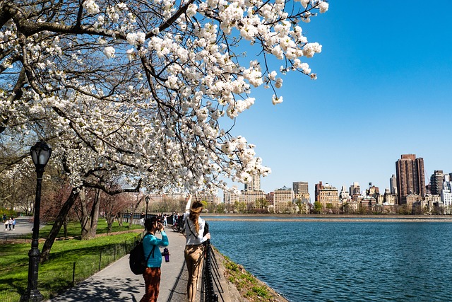 central park spring wallpaper