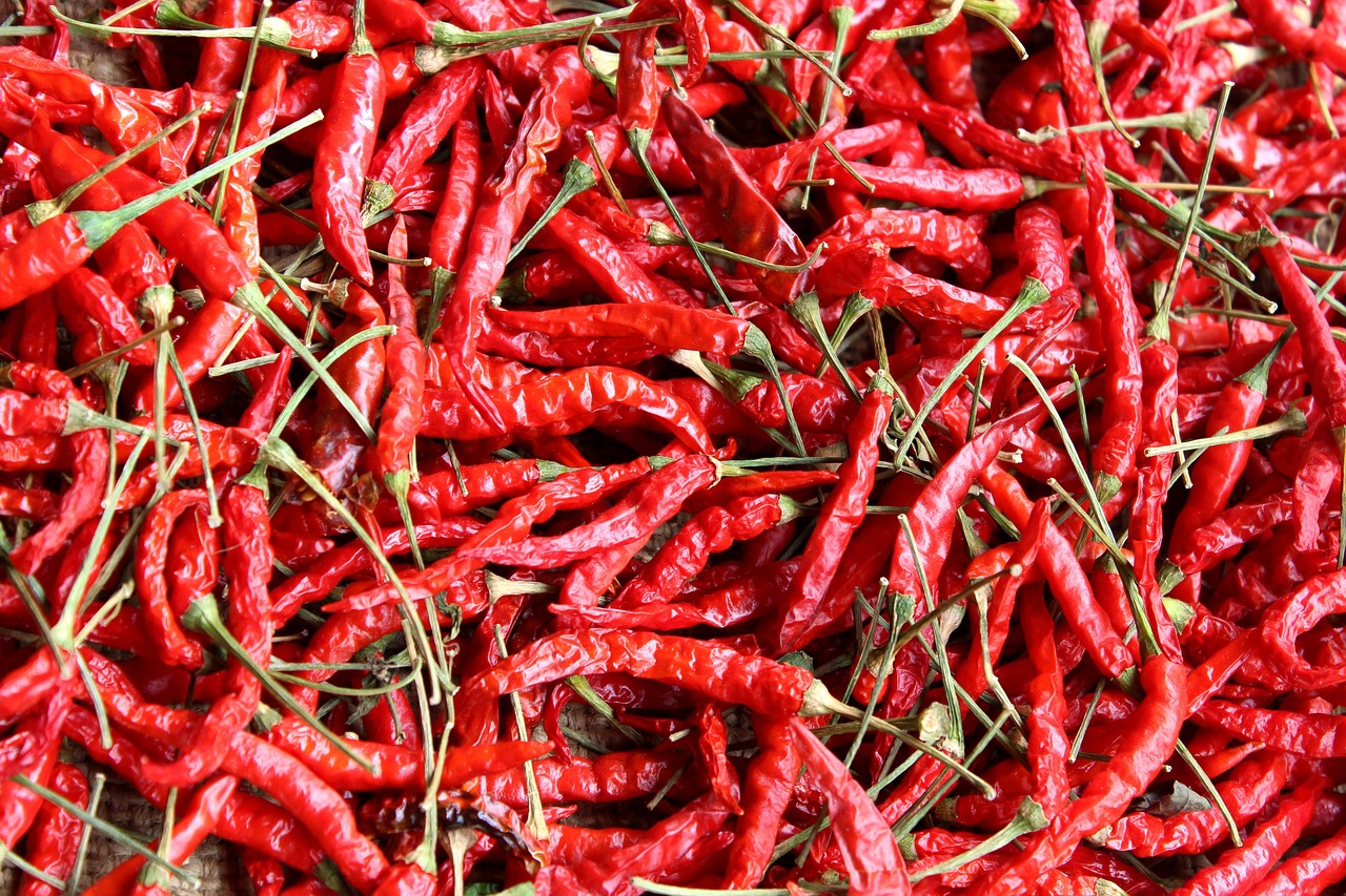 20,000+ Free Chili Cook Off & Chili Images - Pixabay