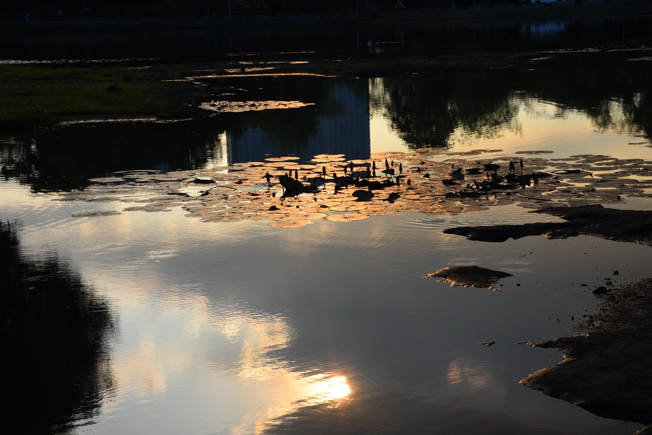 Water Outdoors Reflection - Free photo on Pixabay - Pixabay