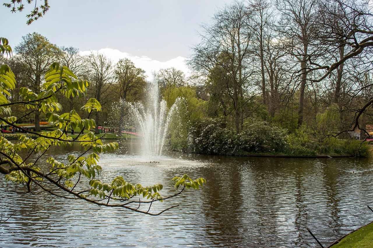 Corps De L'Eau Étang Fontaine - Photo gratuite sur Pixabay - Pixabay