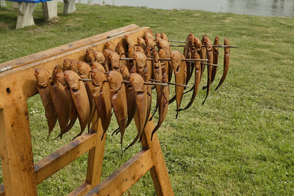 Fumé De La Langue Poisson - Photo gratuite sur Pixabay