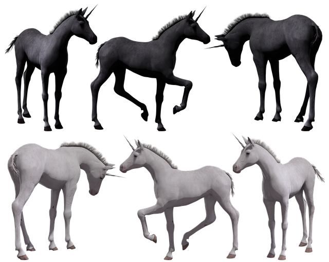 Unleash Your Imagination with 800+ HD Unicorn Photos and Images - Pixabay