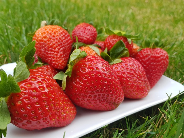 Fraise Fruit Aliments En Bonne - Photo gratuite sur Pixabay - Pixabay