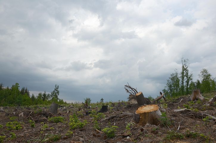 70+ Free Calamity & Nature Images