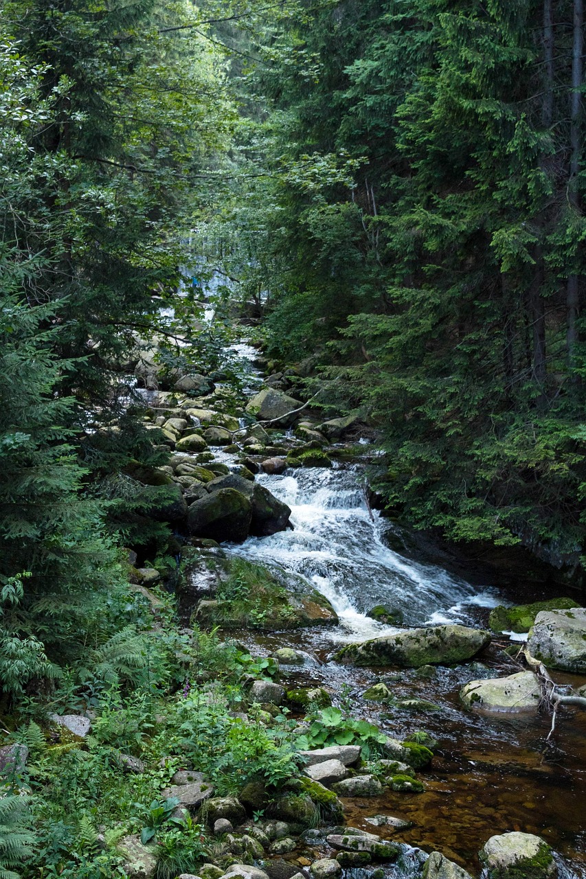 Nature Fleuve Chute D'Eau - Photo gratuite sur Pixabay