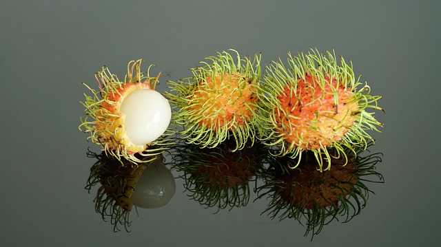 Rambutan Fruit Tree - Free photo on Pixabay