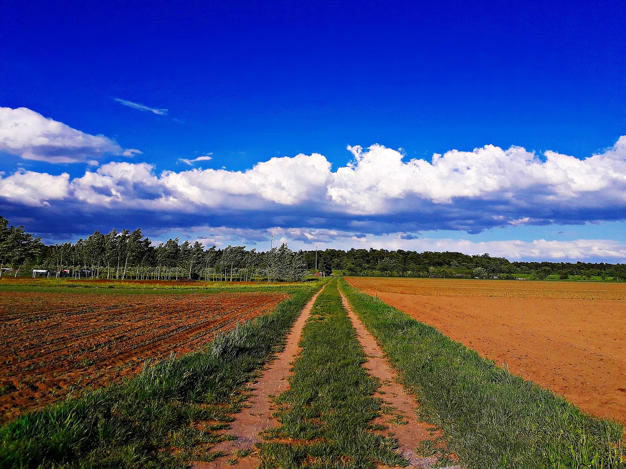Field Farm Sky - Free photo on Pixabay