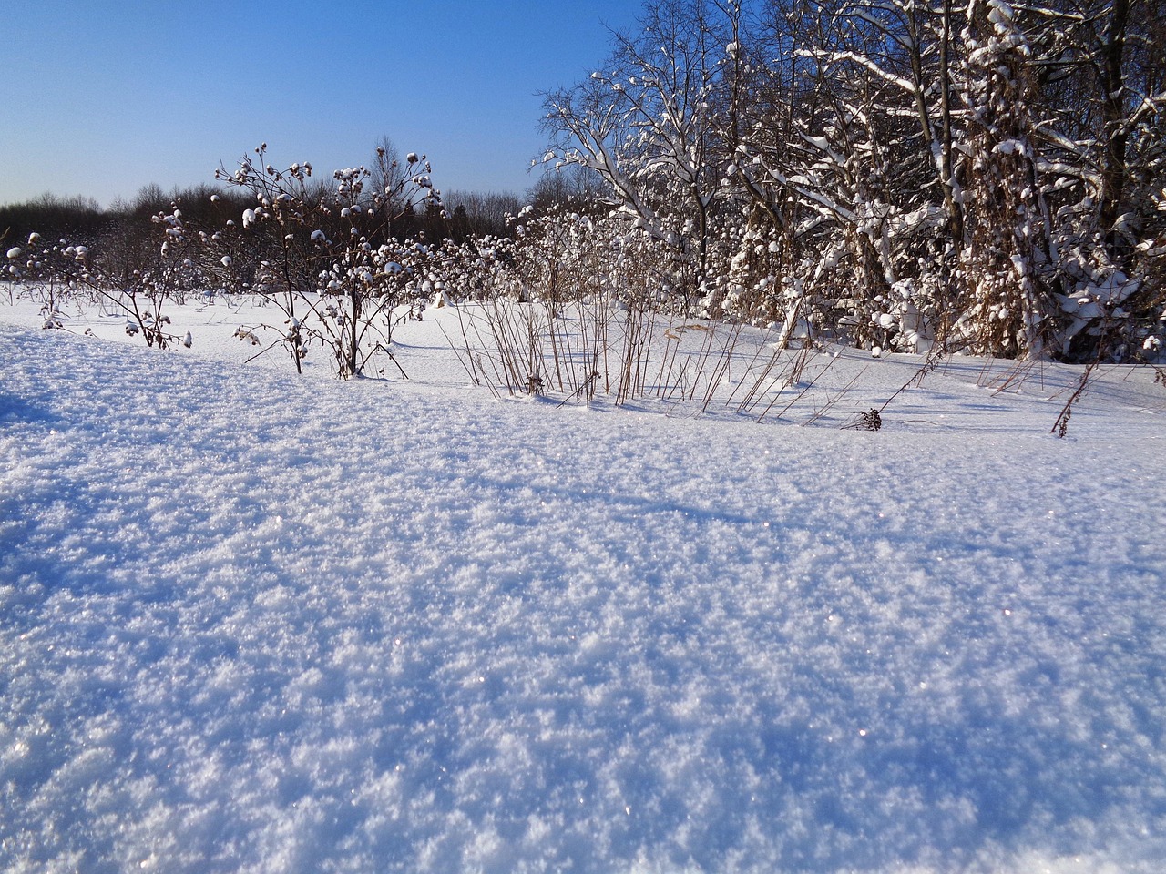 Winter Schnee Frost - Kostenloses Foto auf Pixabay