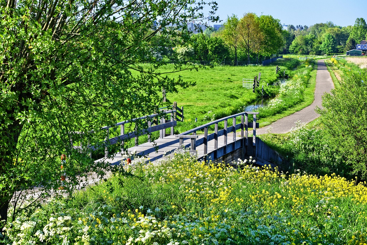 Landschap Holland Nederlands - Gratis foto op Pixabay - Pixabay
