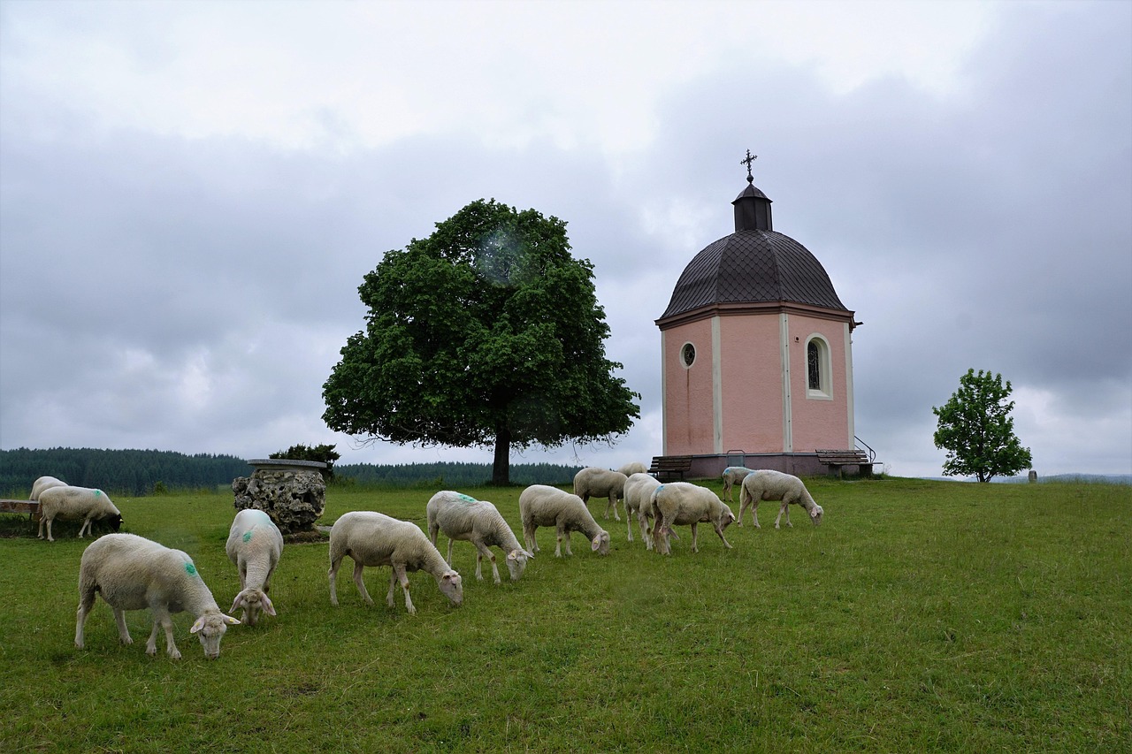 100+ Free Small Church & Church Images - Pixabay