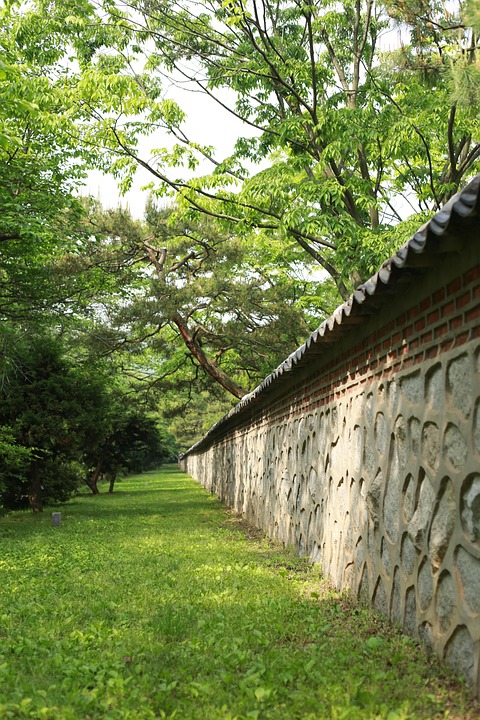Tree Wall Stone - Free photo on Pixabay - Pixabay