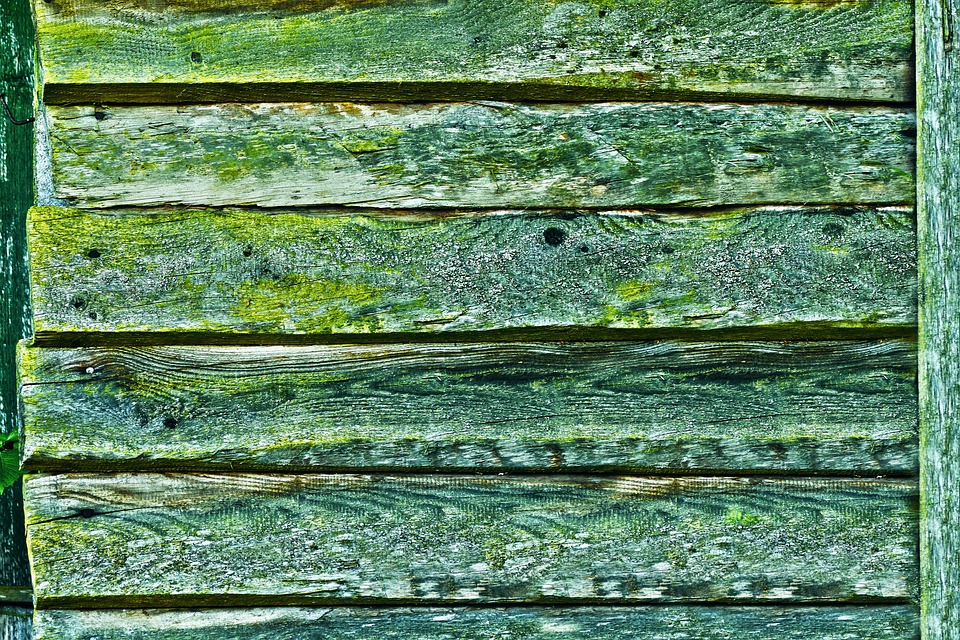 Boards Weave Verdigris - Free photo on Pixabay