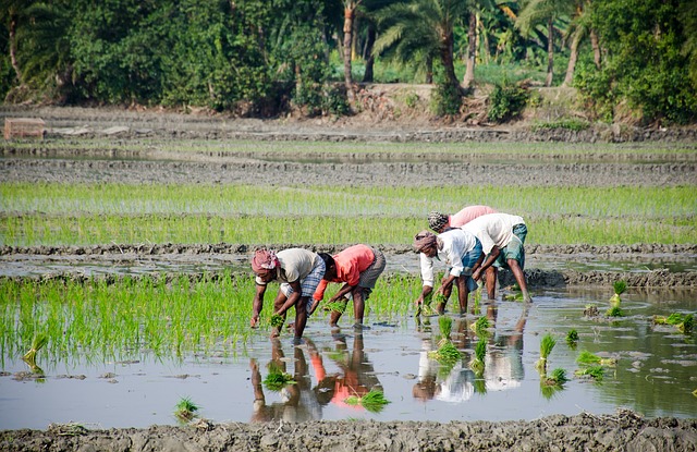 Labour Day Work Working Peoples - Free photo on Pixabay