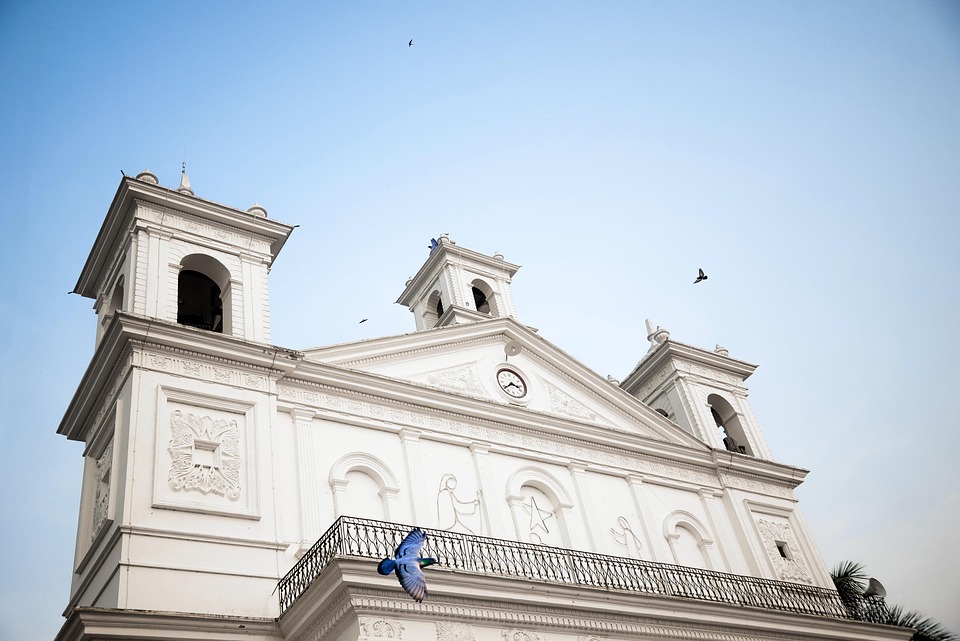 Church Birds Architecture - Free photo on Pixabay