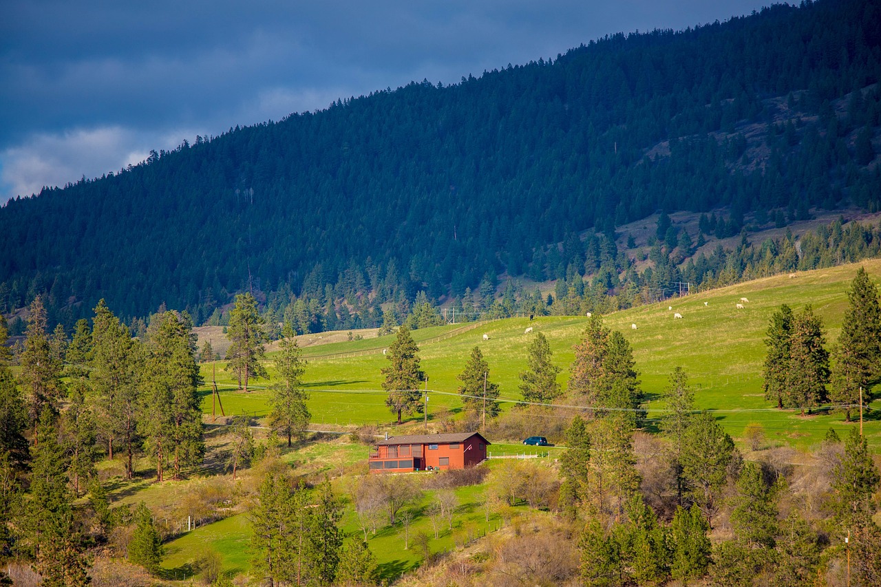 Page 2 - 200,000+ Free Green Hillside & Hillside Images - Pixabay