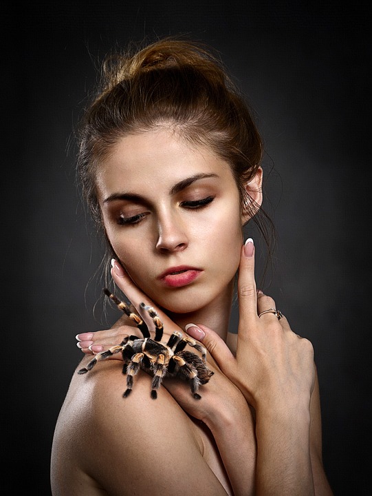 Woman Tarantula Girl - Free photo on Pixabay