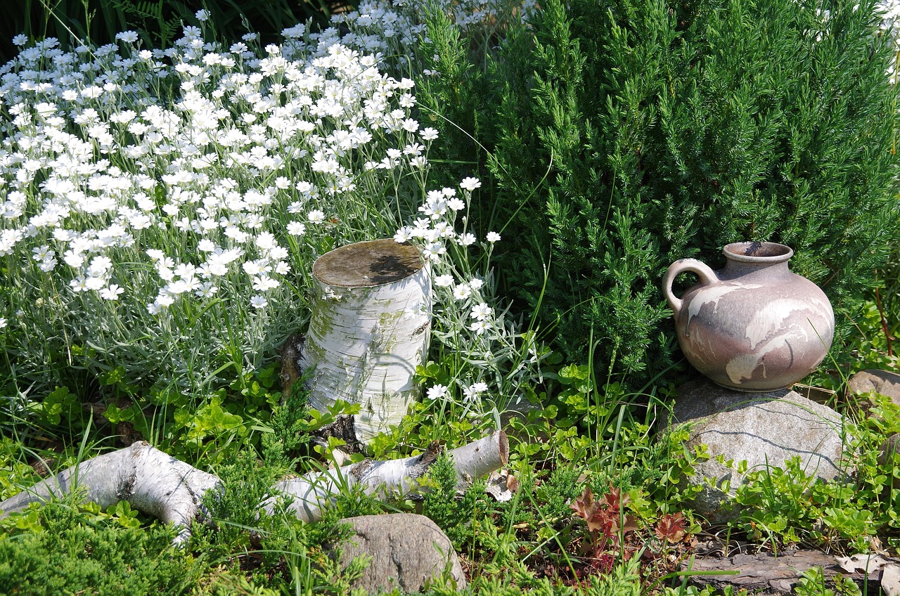 Nature Garden Spring - Free photo on Pixabay