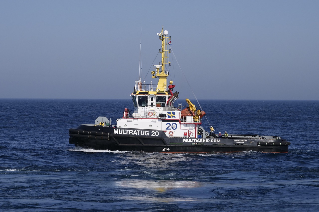 Más de 300 imágenes gratis de Tug Tug Tug Tug Sahur y Tirón - Pixabay