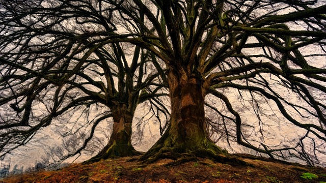 20+ Free Enting & Ent Images - Pixabay