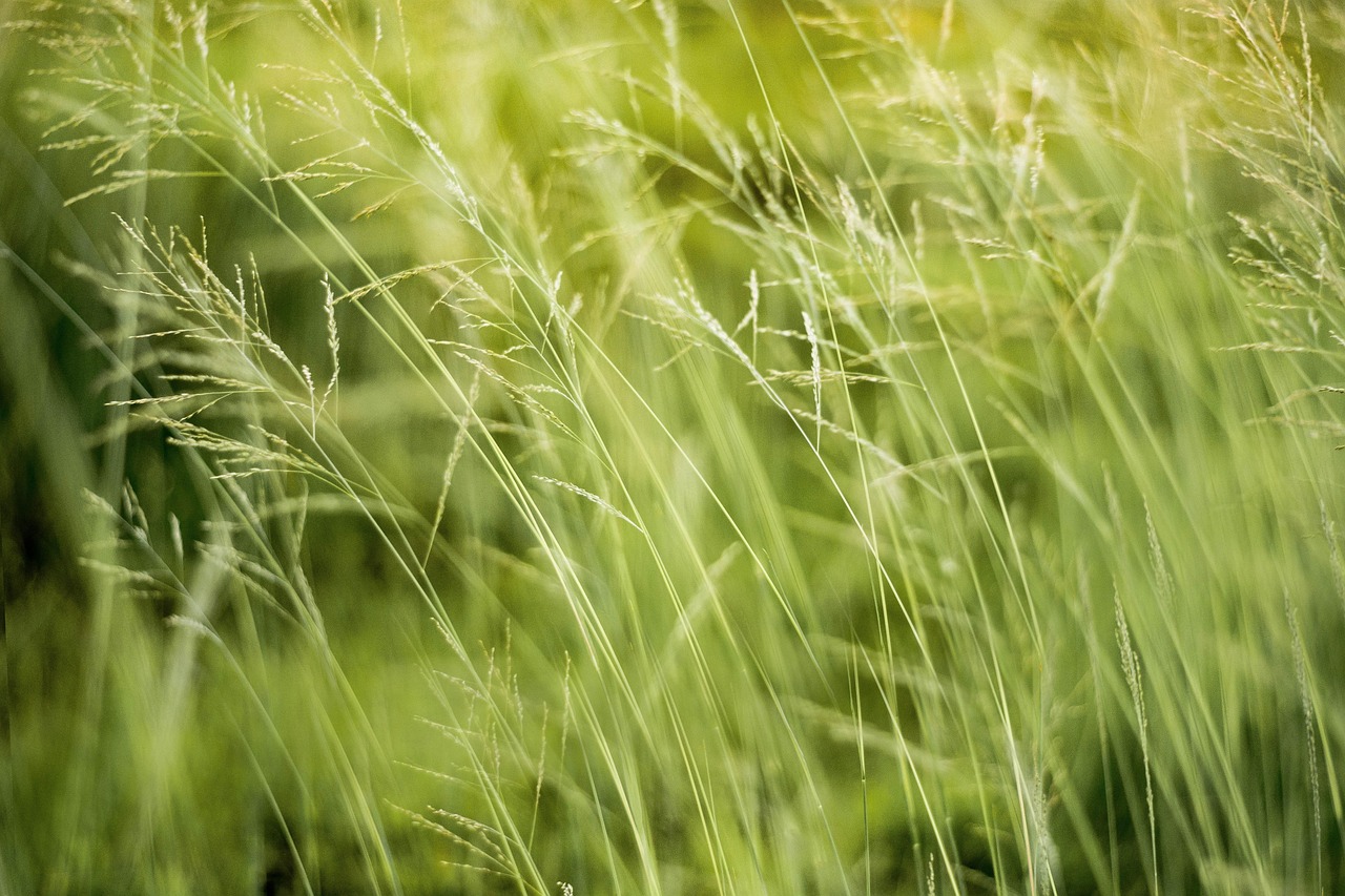 20 000 Free Environmental Science Environmental Protection Images